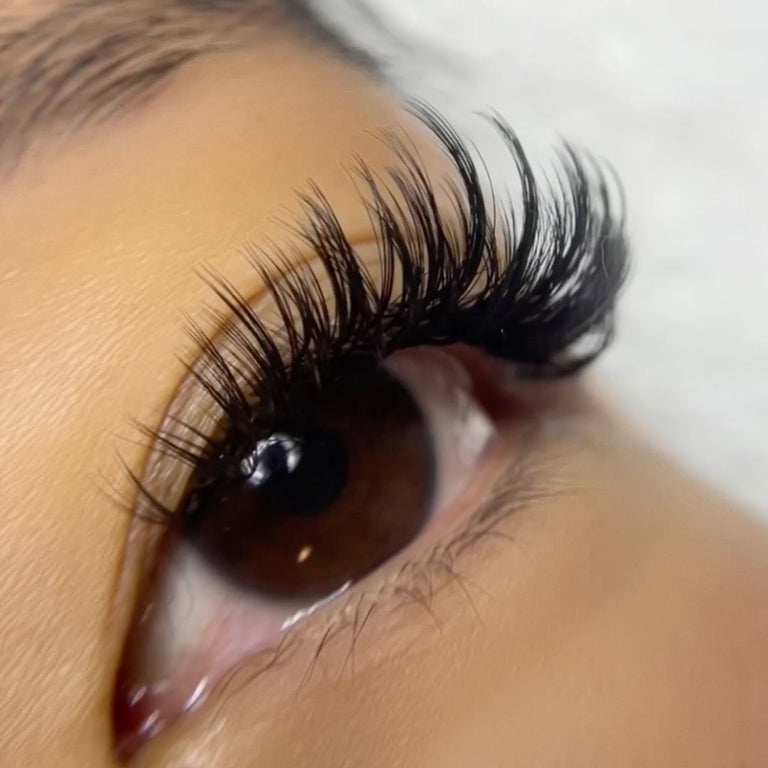Lash Extension and Lash Lift Training and Supplies – THE LASH SHOP